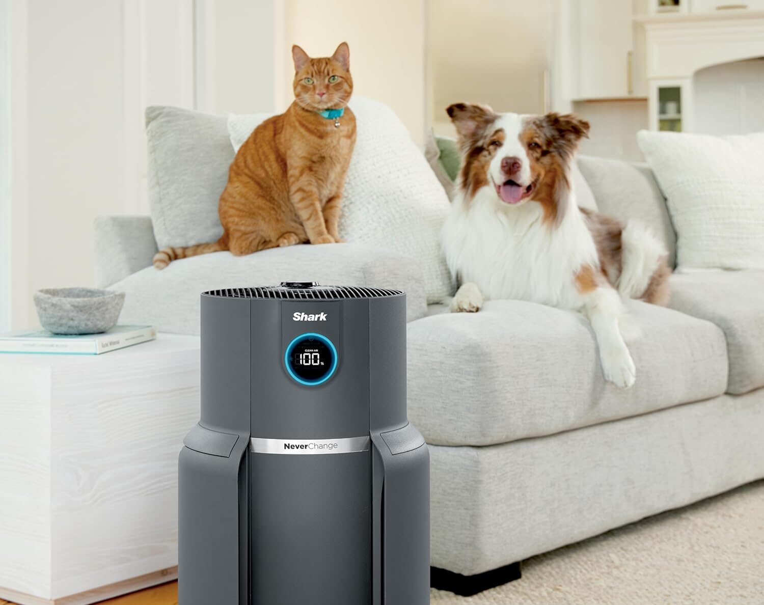 Shark HP301 Air Purifier: In-Depth Review - AC and Fans